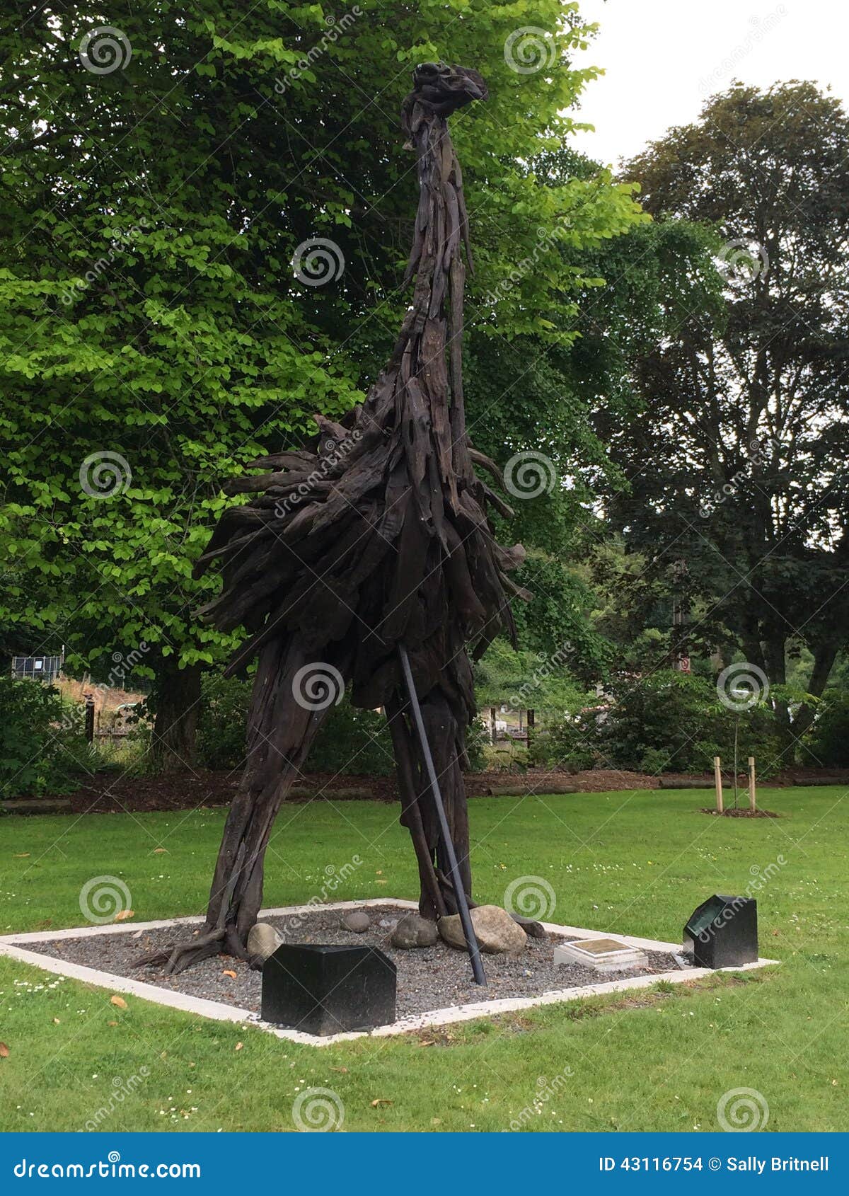 Moa stock photo. Image of zealand, sculpture, statue - 43116754