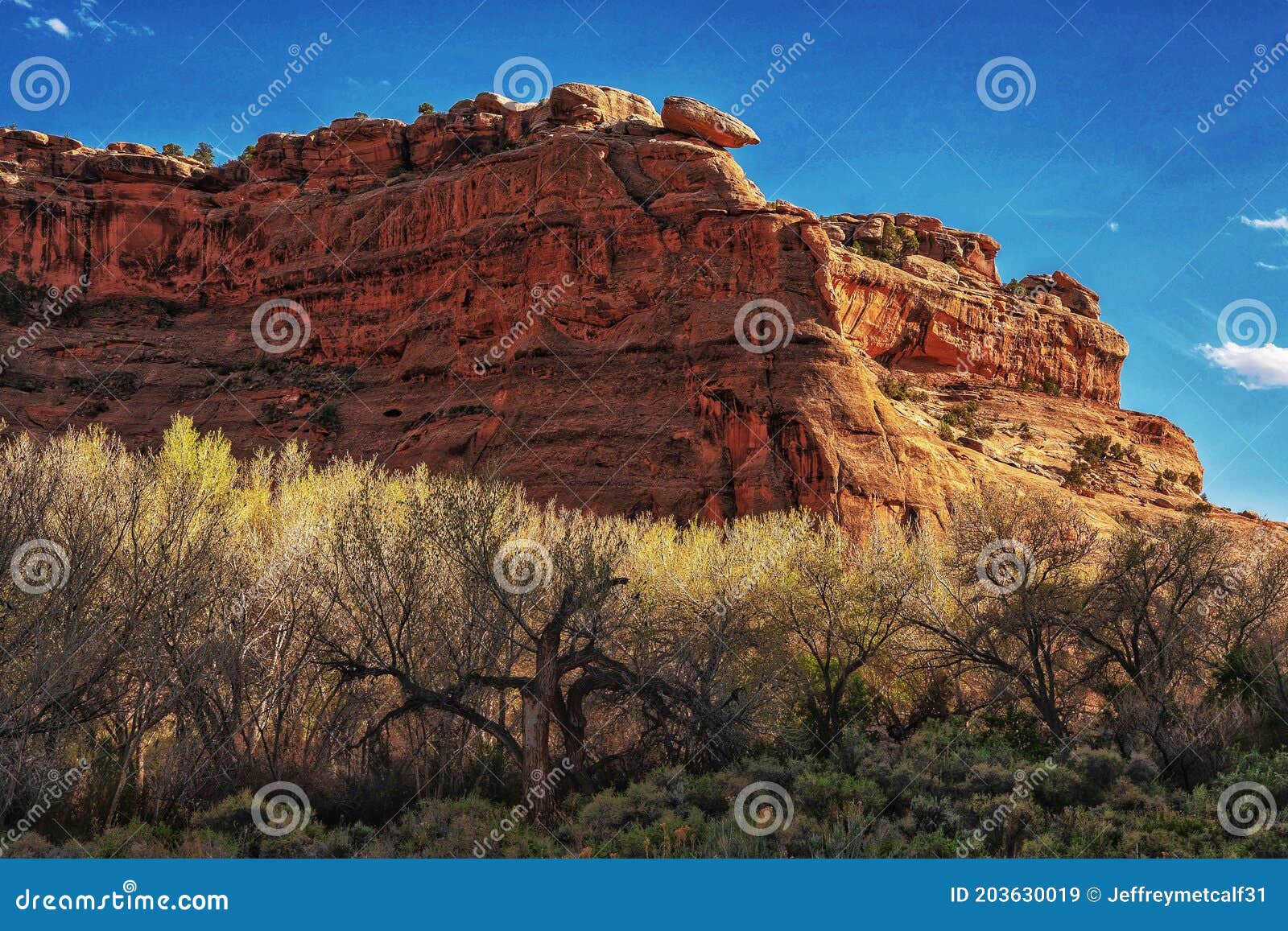 Moab Utah red rocks stock image. Image of national, rocks - 203630019