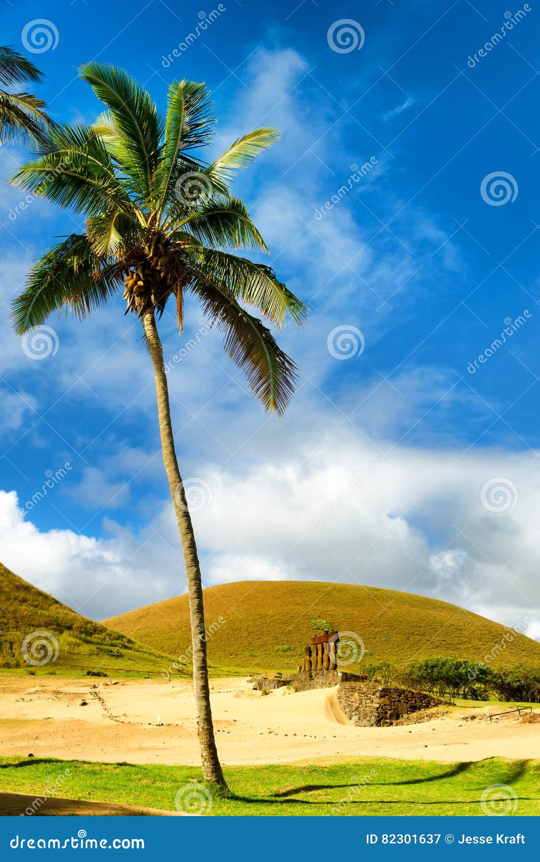 Moai On Anakena Beach On Easter Island Rapa Nui Stock Photography ...