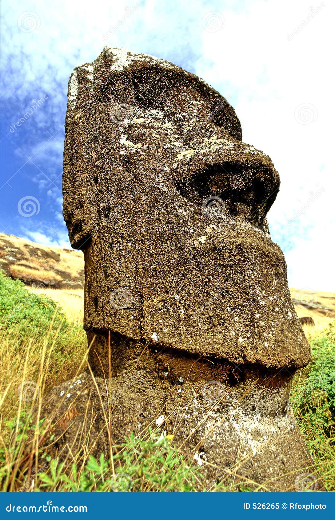 Moai- Easter Island stock image. Image of pascua, guardian - 526265