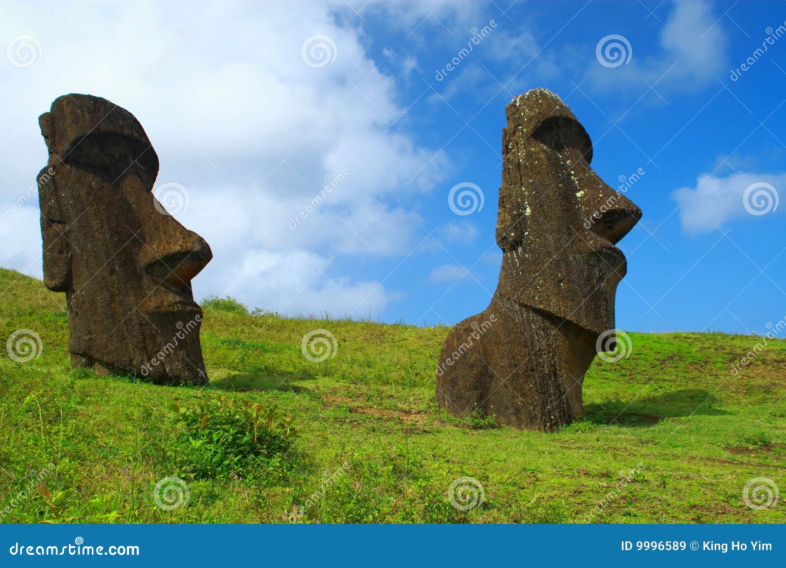 Moai on Easter Island stock image. Image of massive, solitary - 9996589