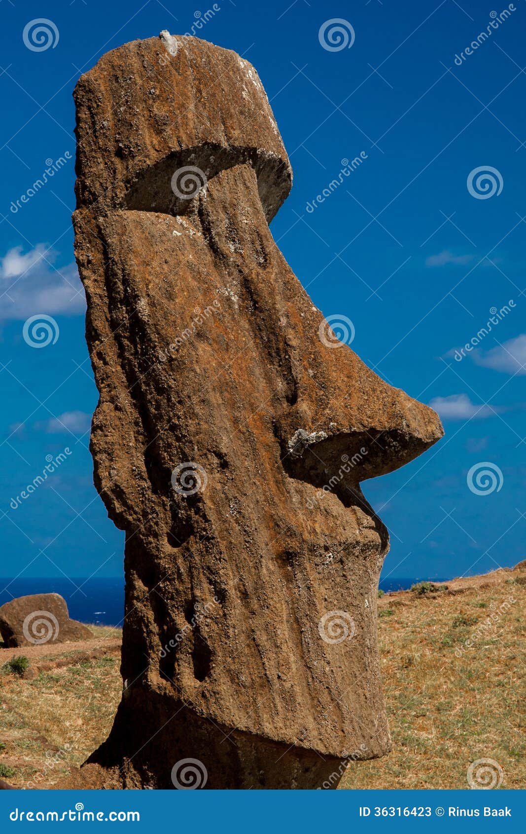 Moai font face image stock. Image du polynésien, visage - 36316423