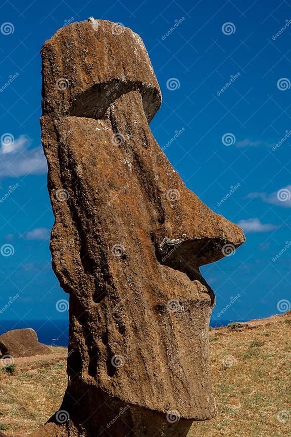 Moai font face image stock. Image du polynésien, visage - 36316423