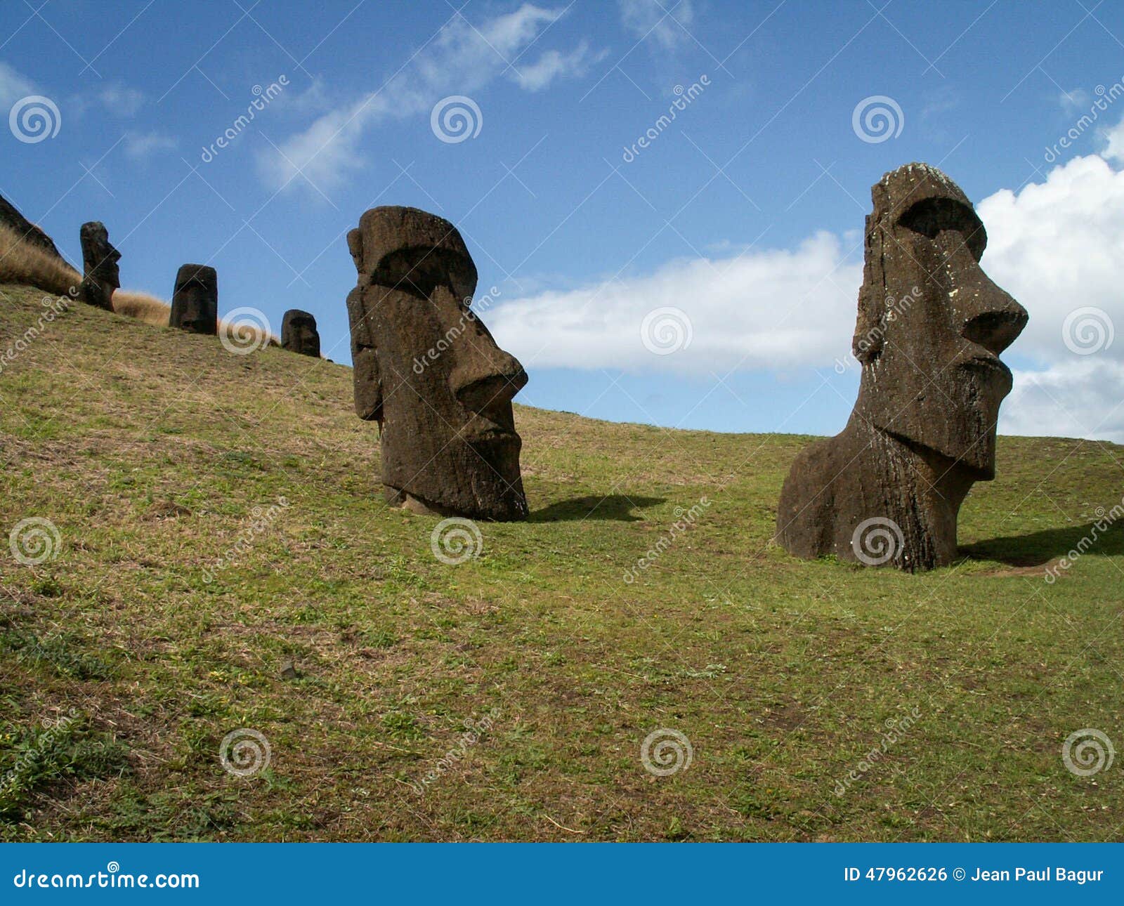 Moai Group stock photo. Image of easter, botanical, plants - 47962626
