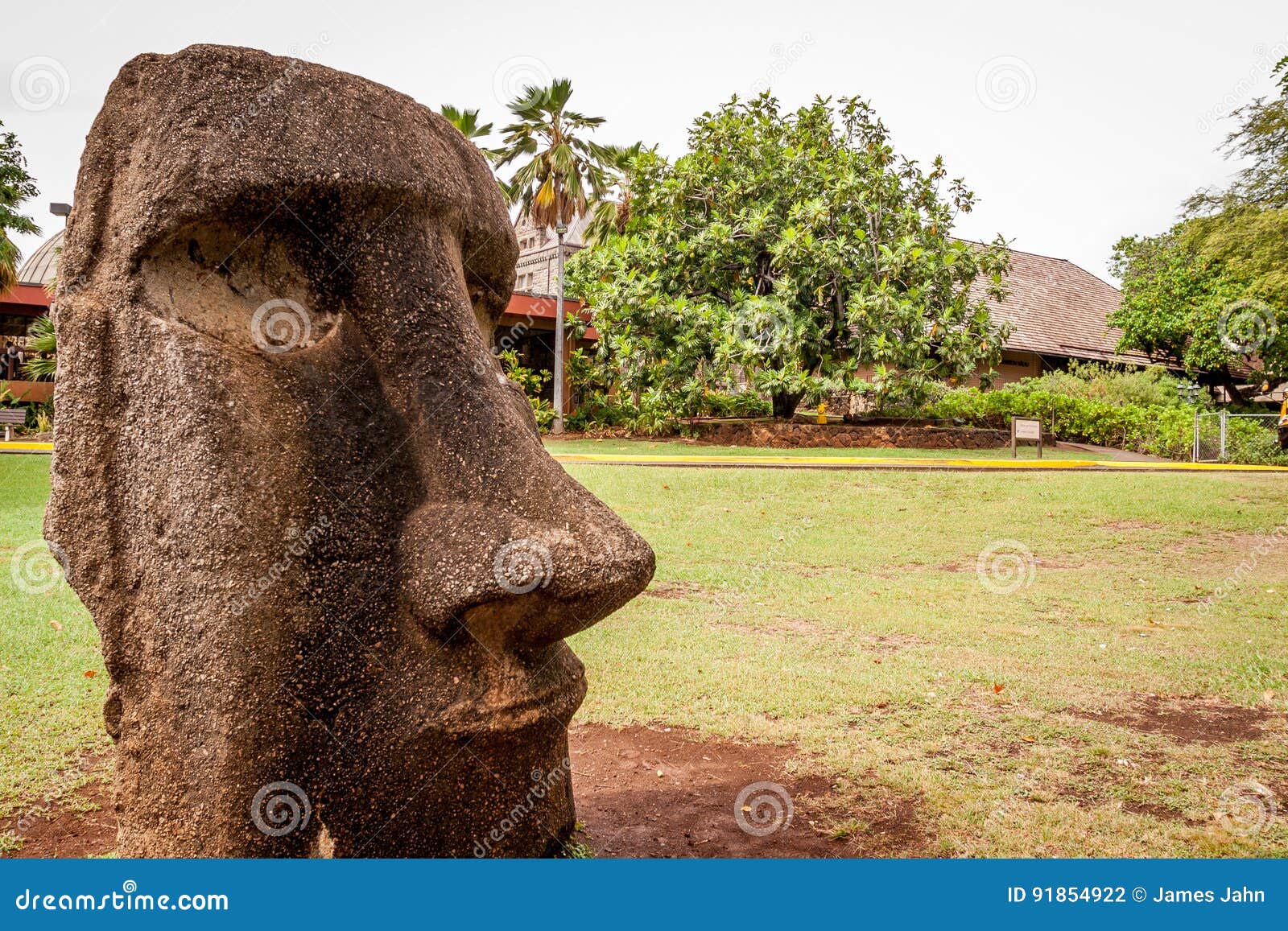 Moai Head from Easter Island Editorial Photography - Image of oahu ...