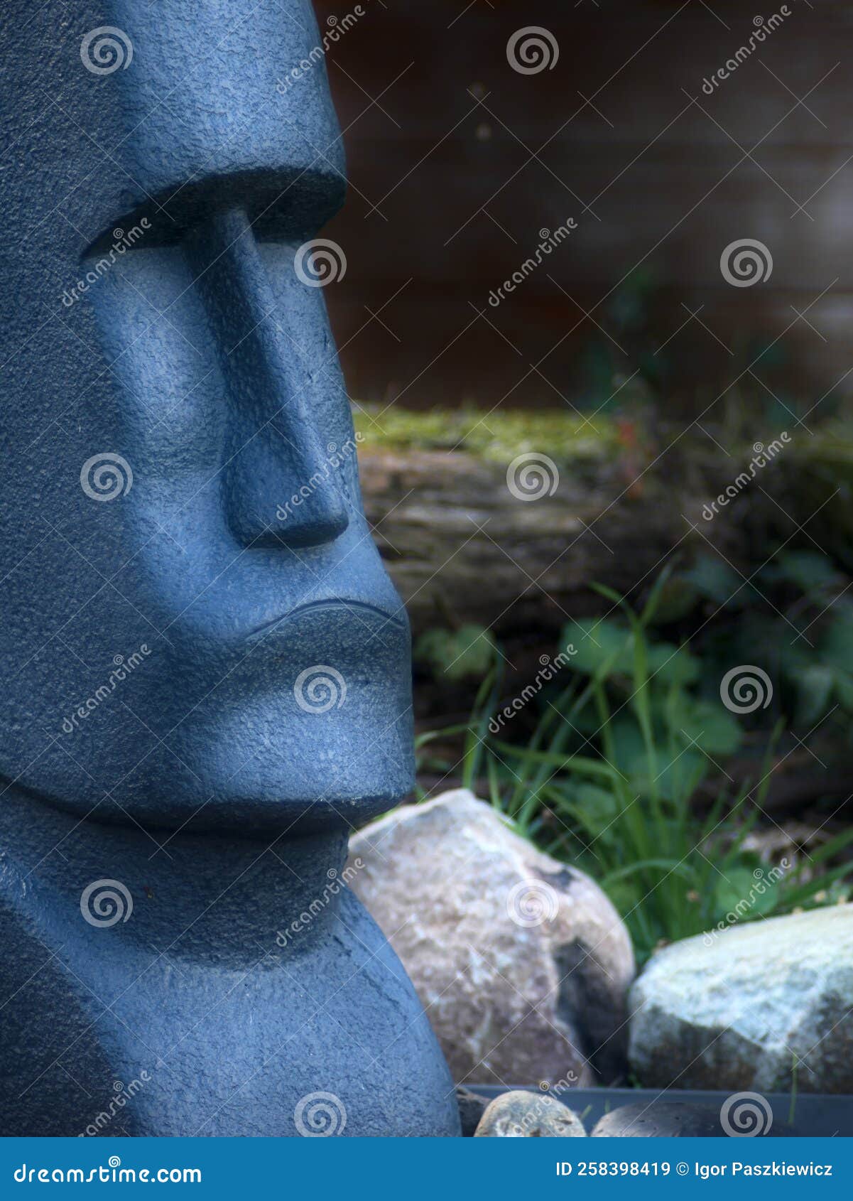 Moai Head And Surrounds Stock Photography | CartoonDealer.com #21521324