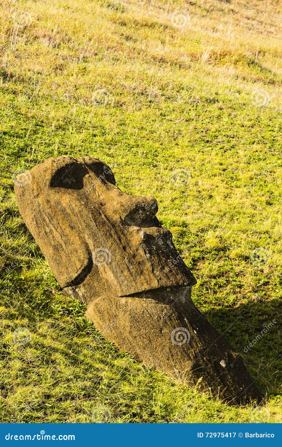 Lying Moai Ruin With The Iconic 15 Moai Statues In The Backdrop, Ahu ...