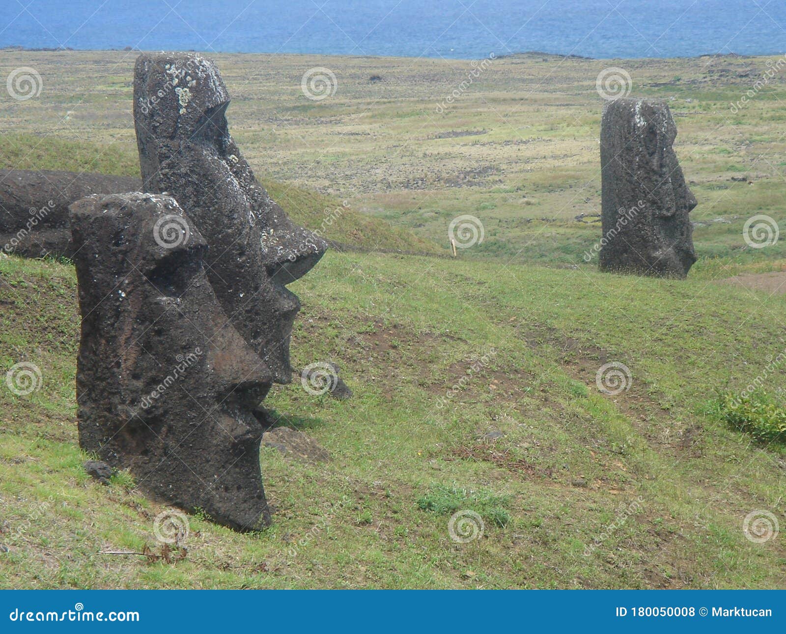 Moai at Rano Raraku Quarry on Easter Island, Chile Editorial Stock ...