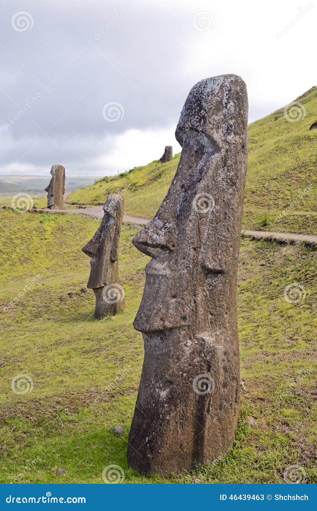 Moay стоковое изображение. изображение насчитывающей парк - 46439463