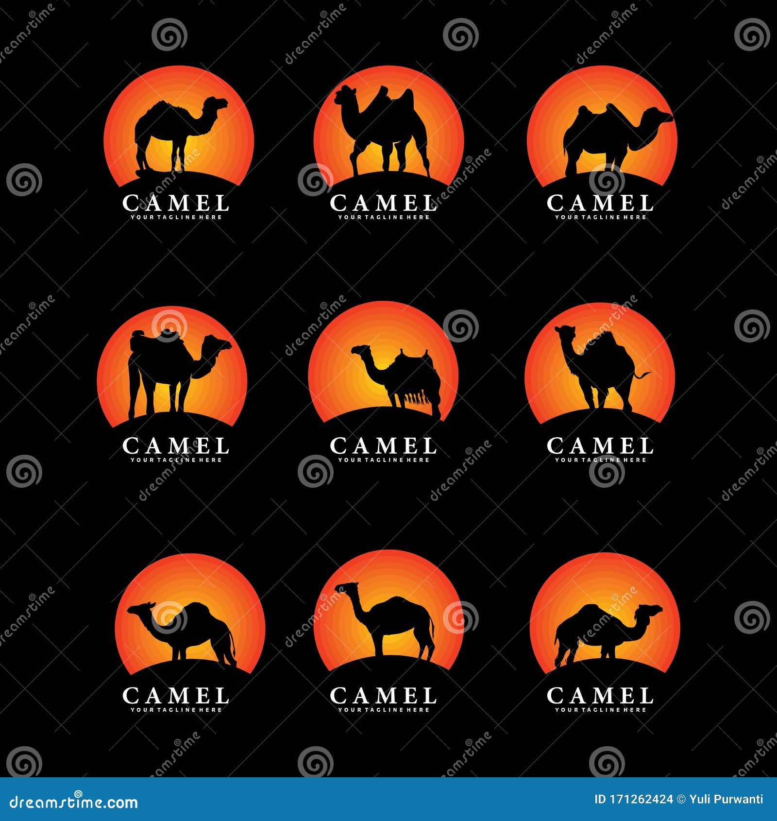 Set of Camel Logo Design Vector Stock Vector - Illustration of mammal ...