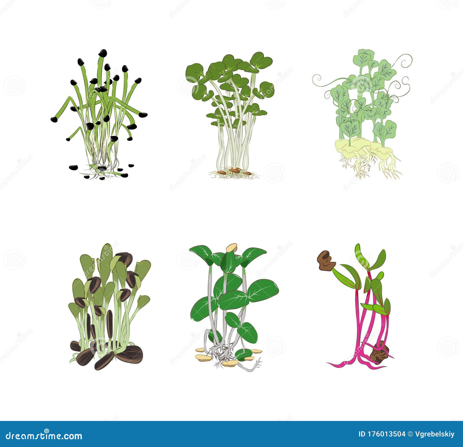 Microgreens Cartoons, Illustrations & Vector Stock Images - 8300 ...