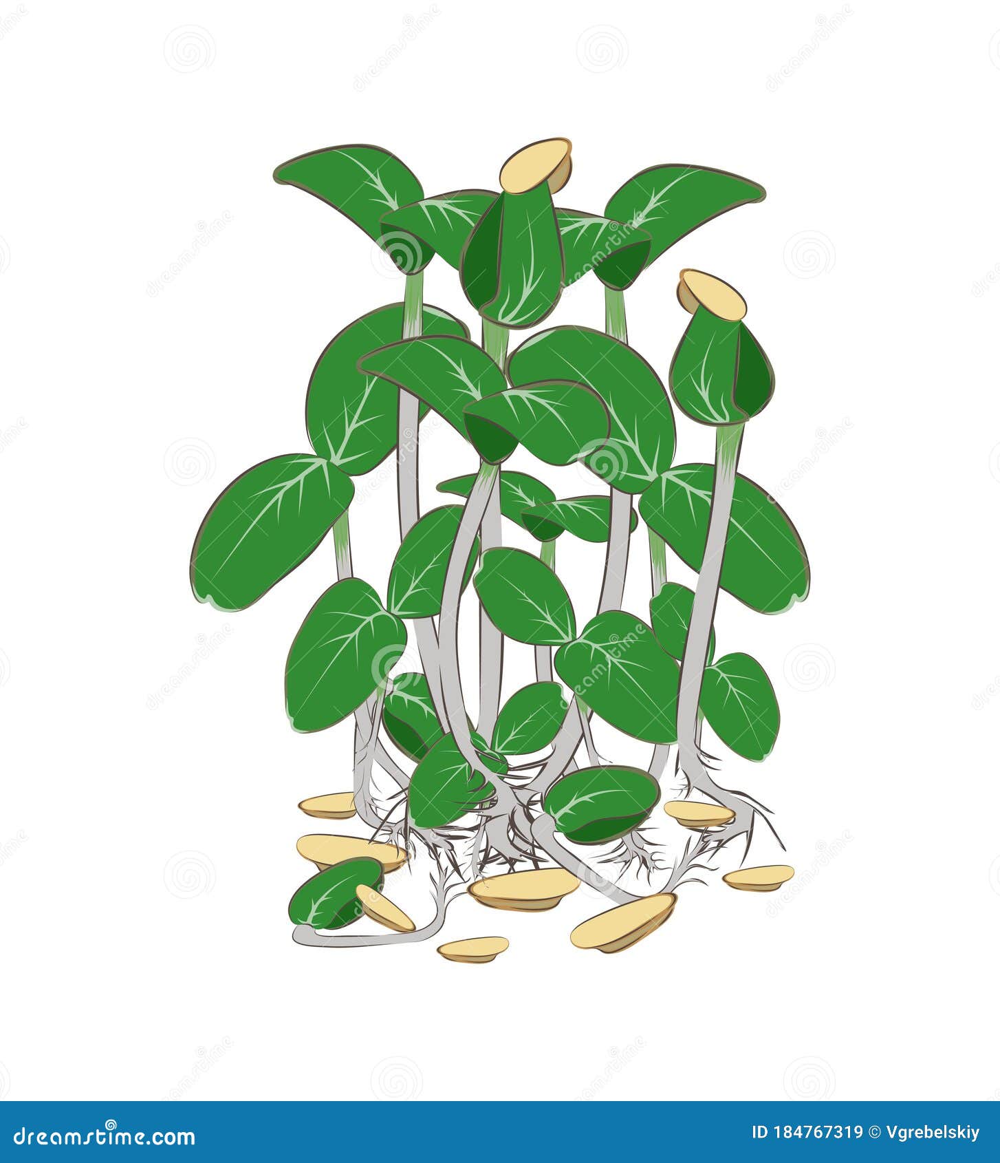 Microgreen Healthy Nutrition Sprout Logo Illustration. Organic ...