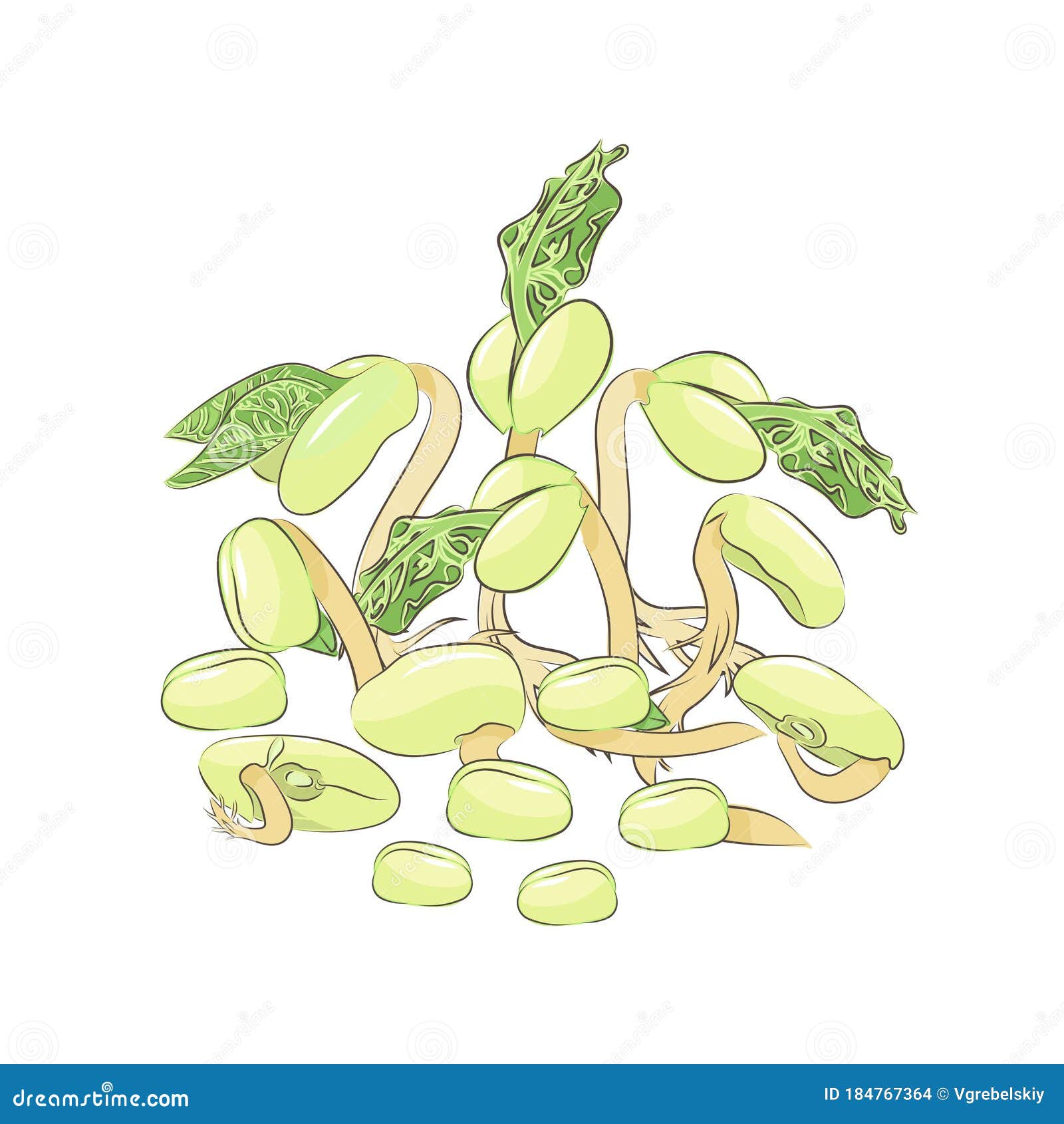 Microgreen Healthy Nutrition Sprout Logo Illustration. Organic ...