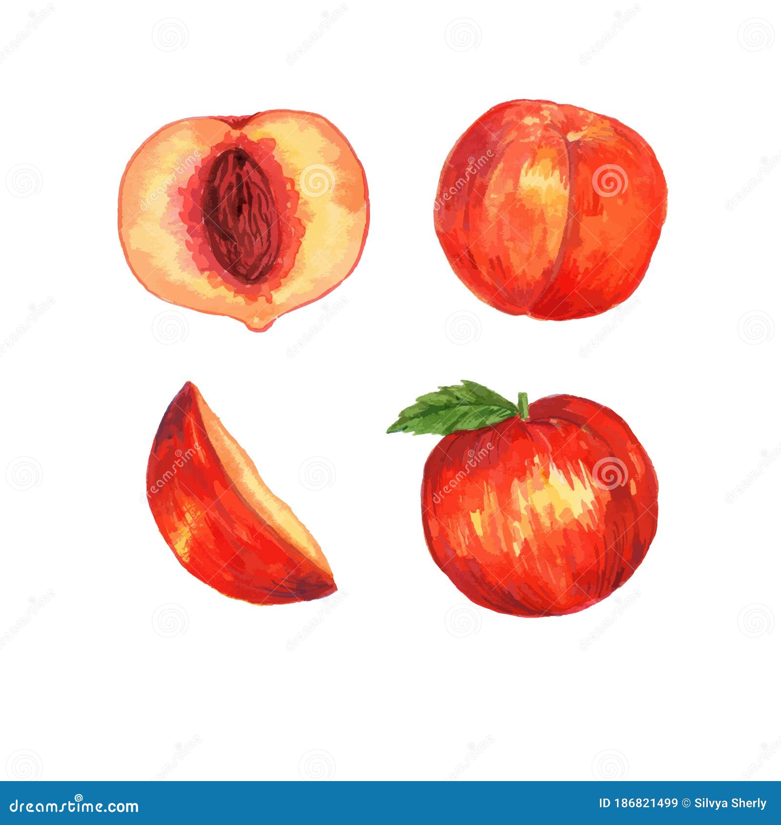 Watercolor Peach With Leaf And Half Cut Peach. Hand Drawn Food ...