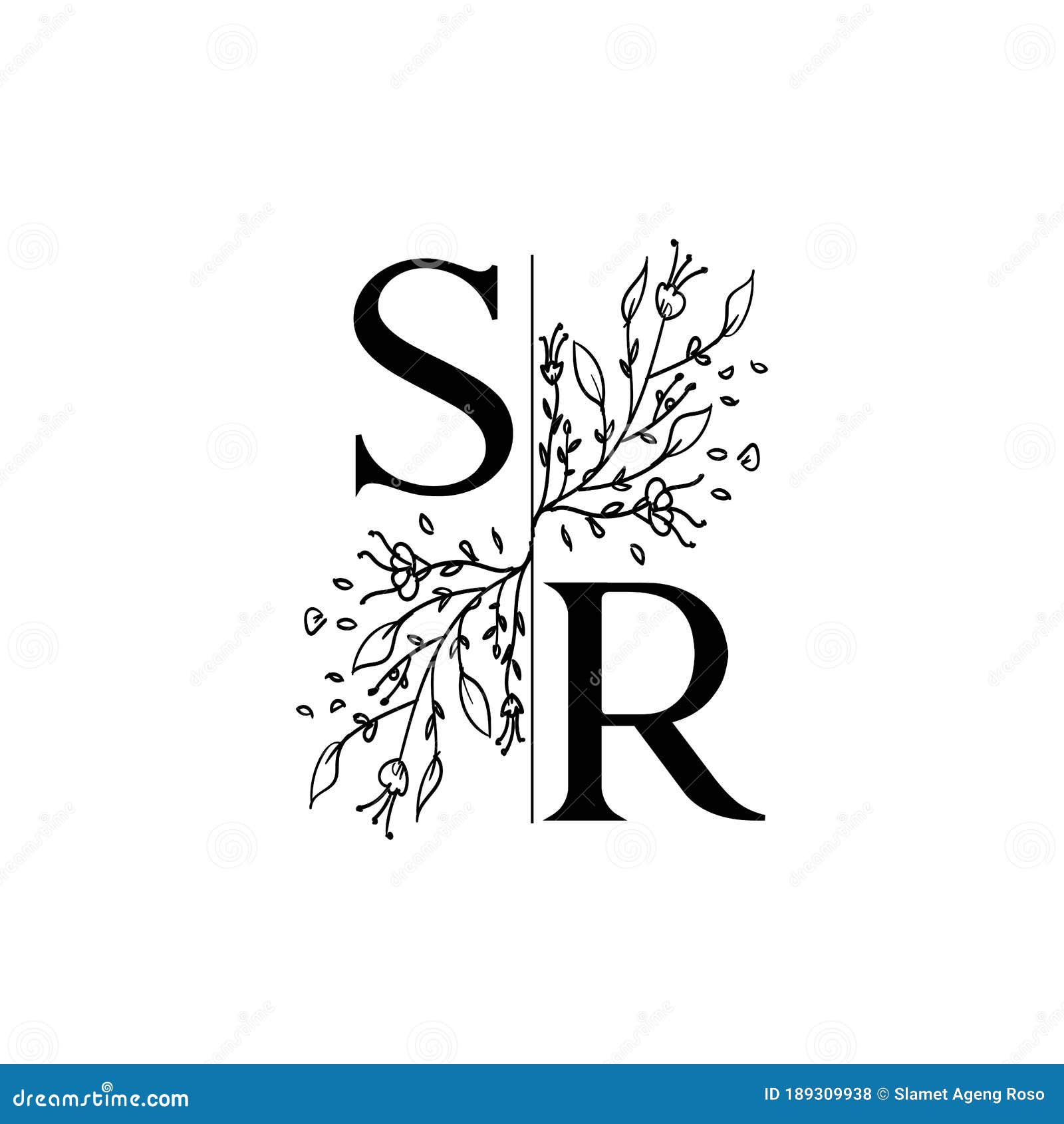 Initial Letter SR Beautiful Handwriting Logo Vector Template Stock ...