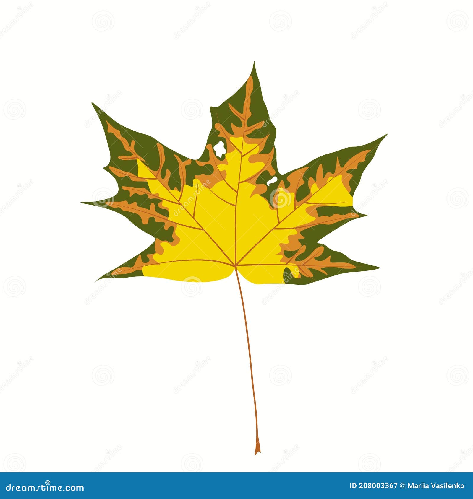Sprout Of Maple Tree (Acer Platanoides) In Ground Cartoon Vector ...