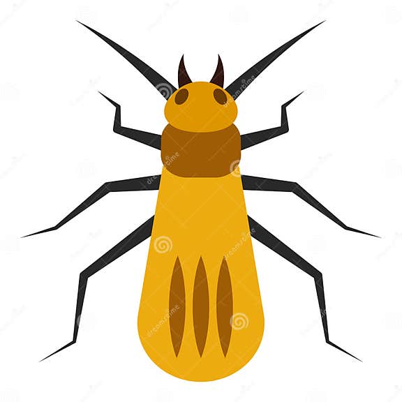 Flat Color Icon for Stonefly. Stock Vector - Illustration of pest ...