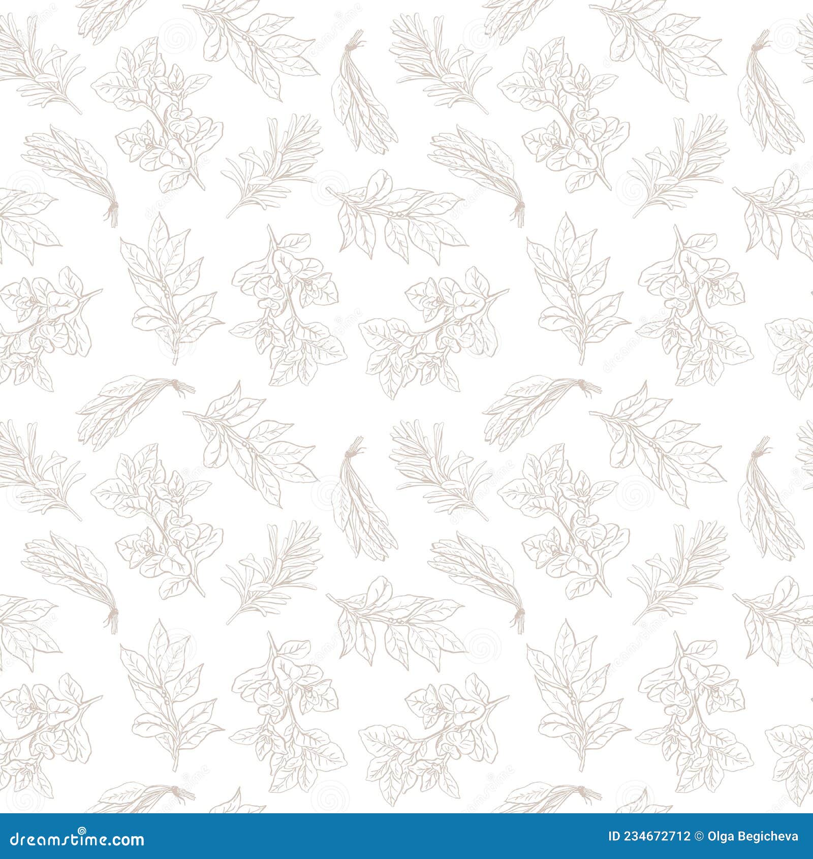 Set Of Sage And Herbs Sage Smudge Sticks Bundles. Vector Stock Hand ...