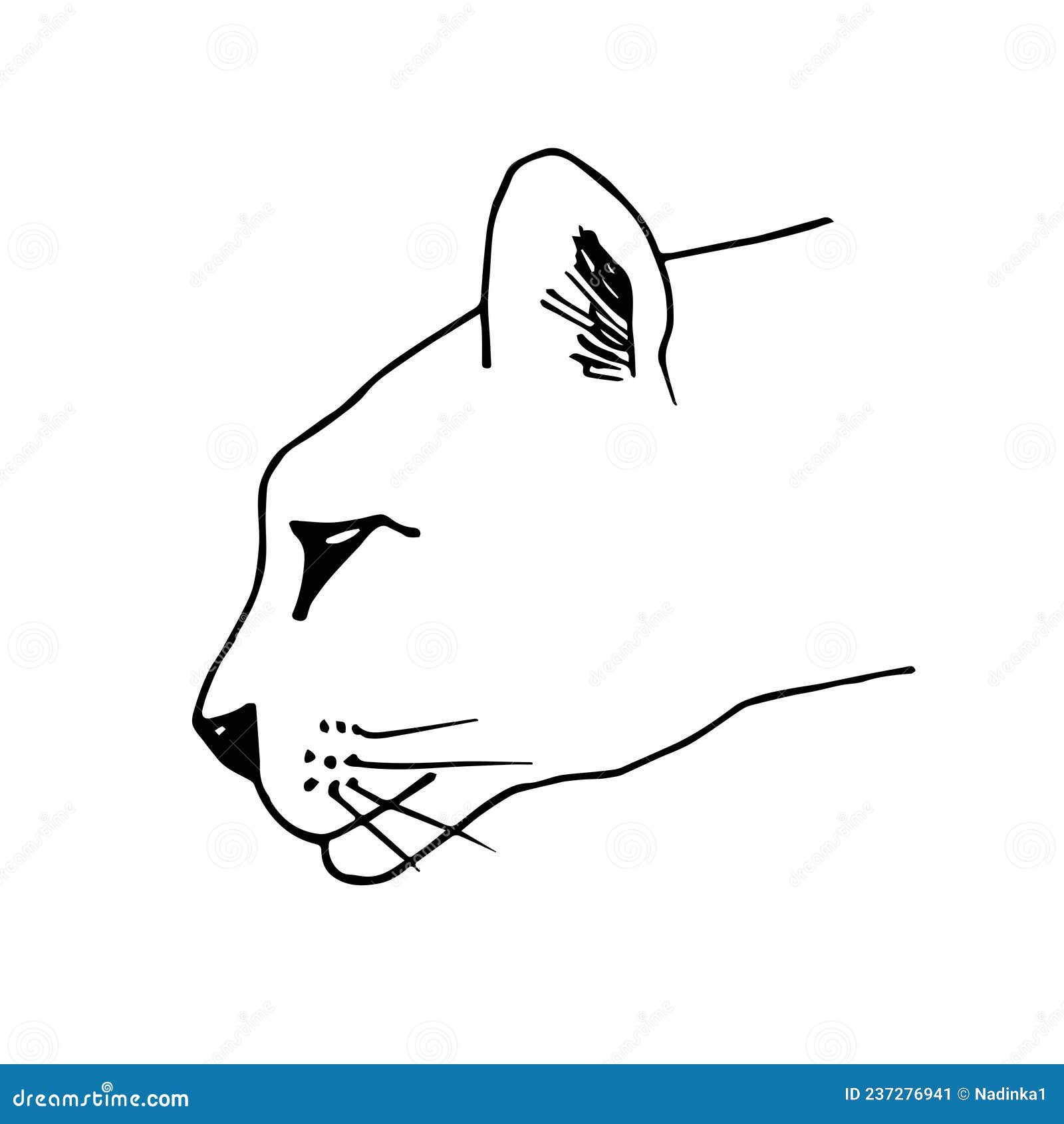 Contour Side View Man Face Vector Illustration | CartoonDealer.com ...