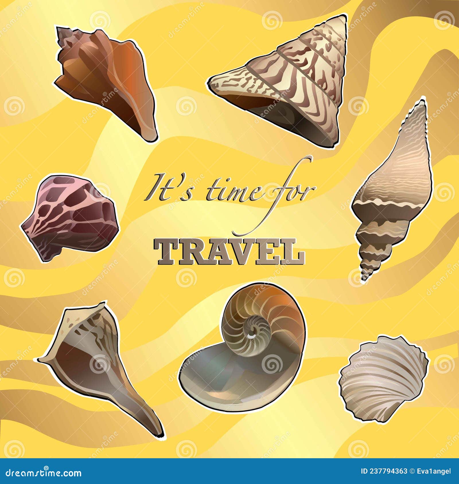 Set of Various Sea Shells in Doodle Style Stock Vector - Illustration ...