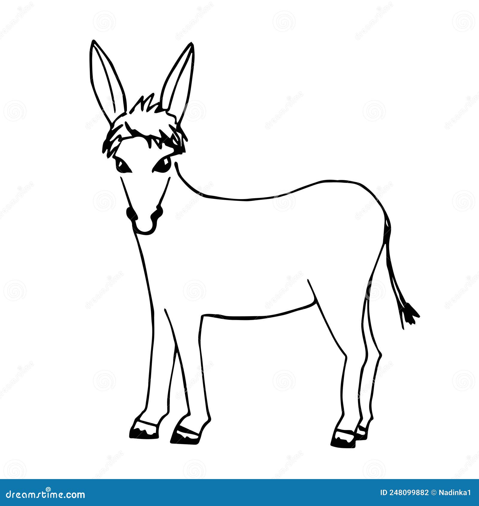 Hand-drawn Simple Black Outline Drawing. Cute Donkey, Animal, in Full ...
