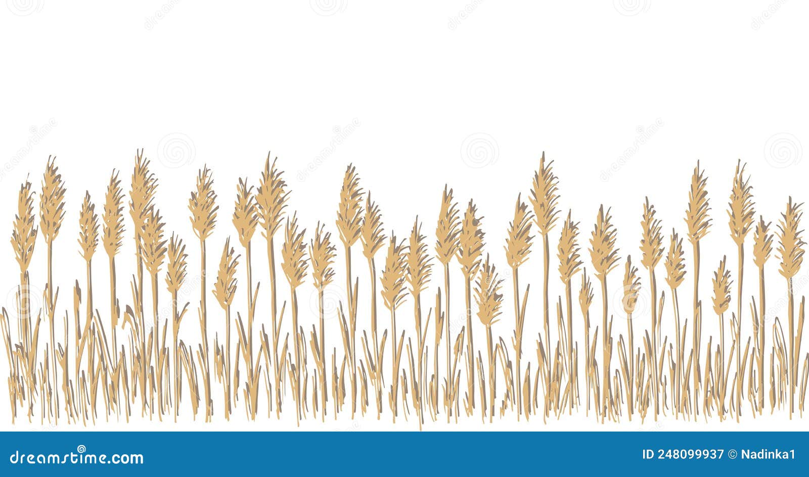 Hand-drawn Simple Vector Drawing in Beige Color. Wild Steppe Pampas ...