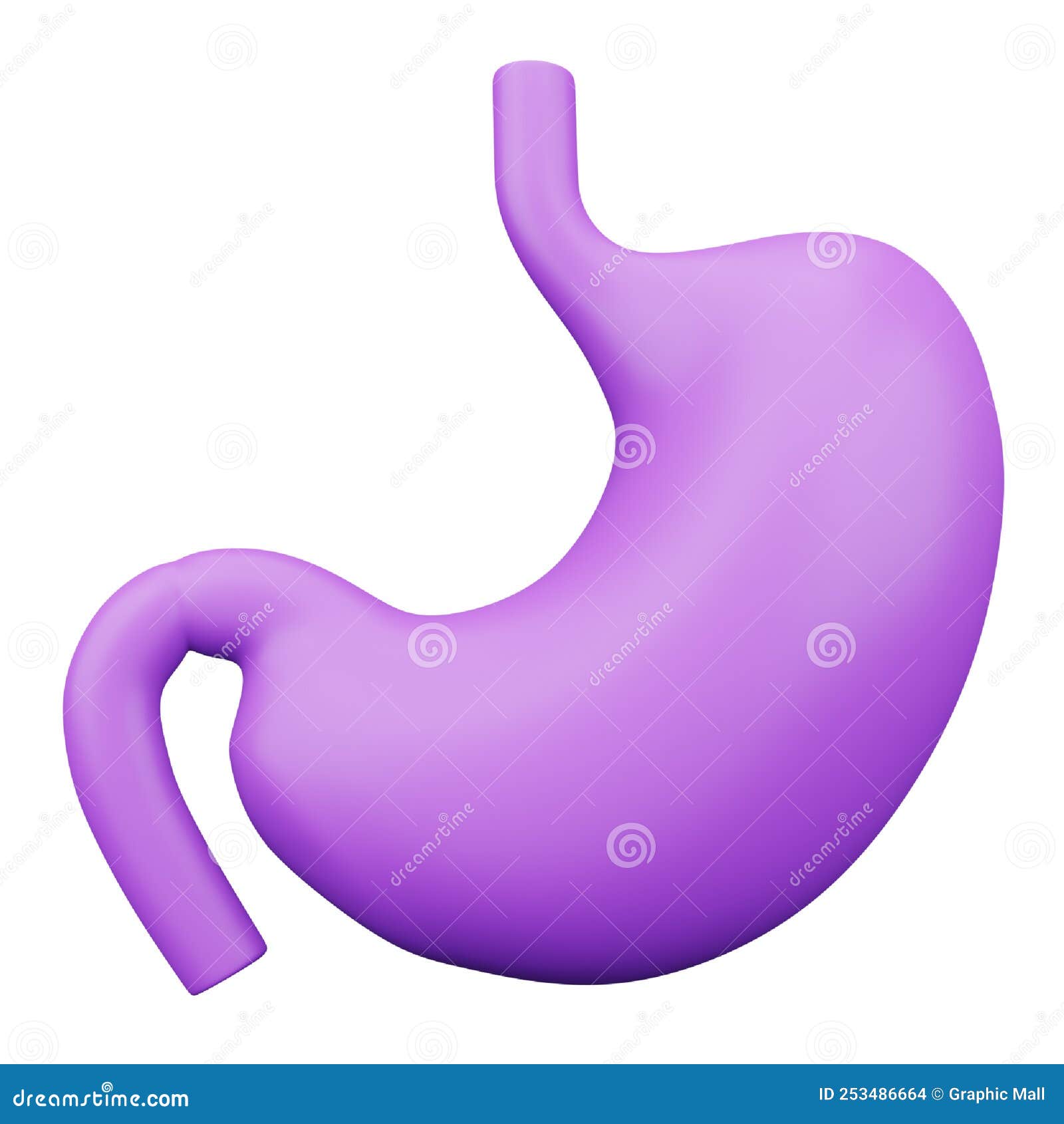 Stomach 3D Rendering Isometric Icon. Stock Vector - Illustration of ...