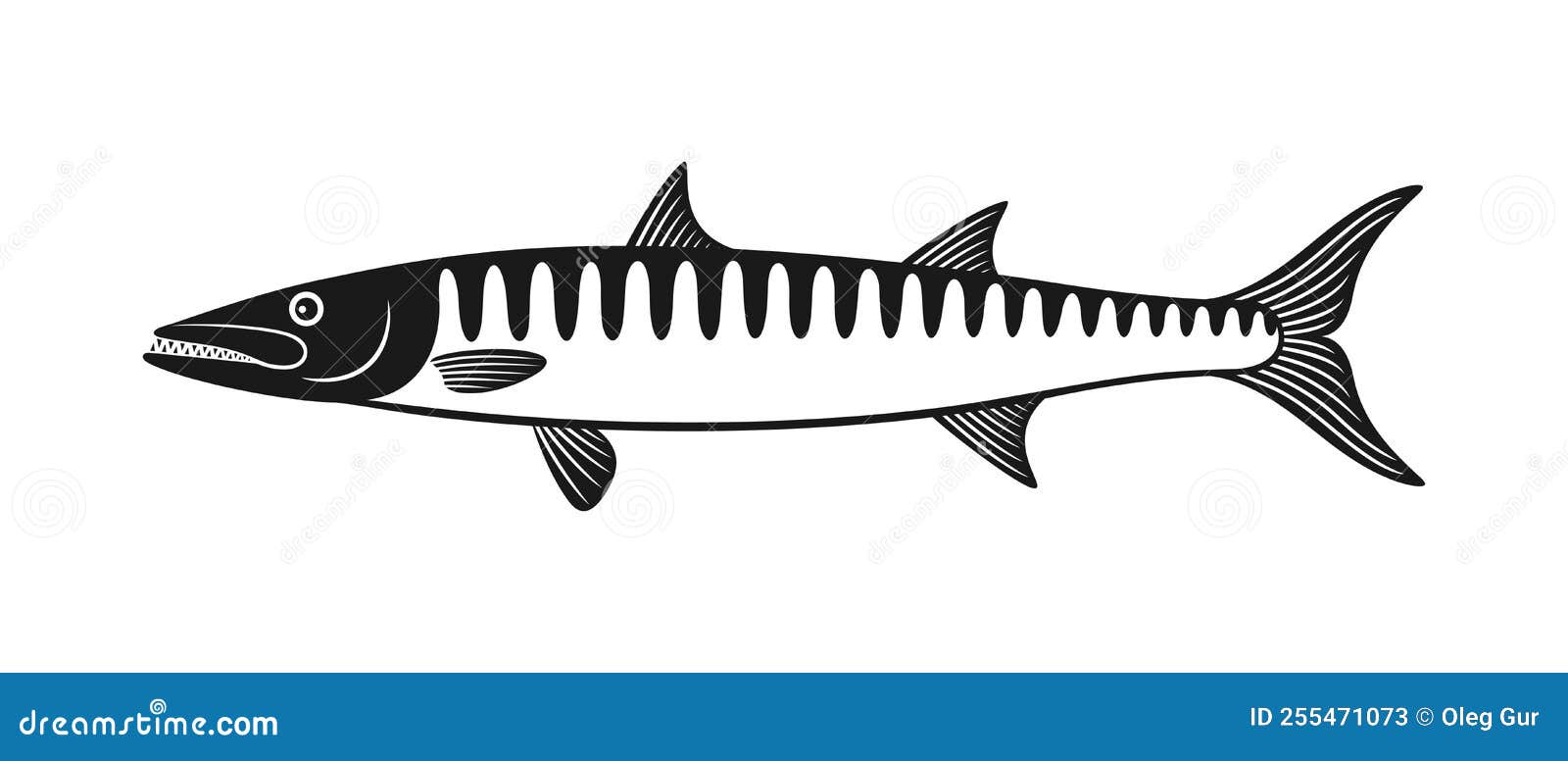 Barracuda Logo. Isolated Barracuda on White Background Stock Vector ...
