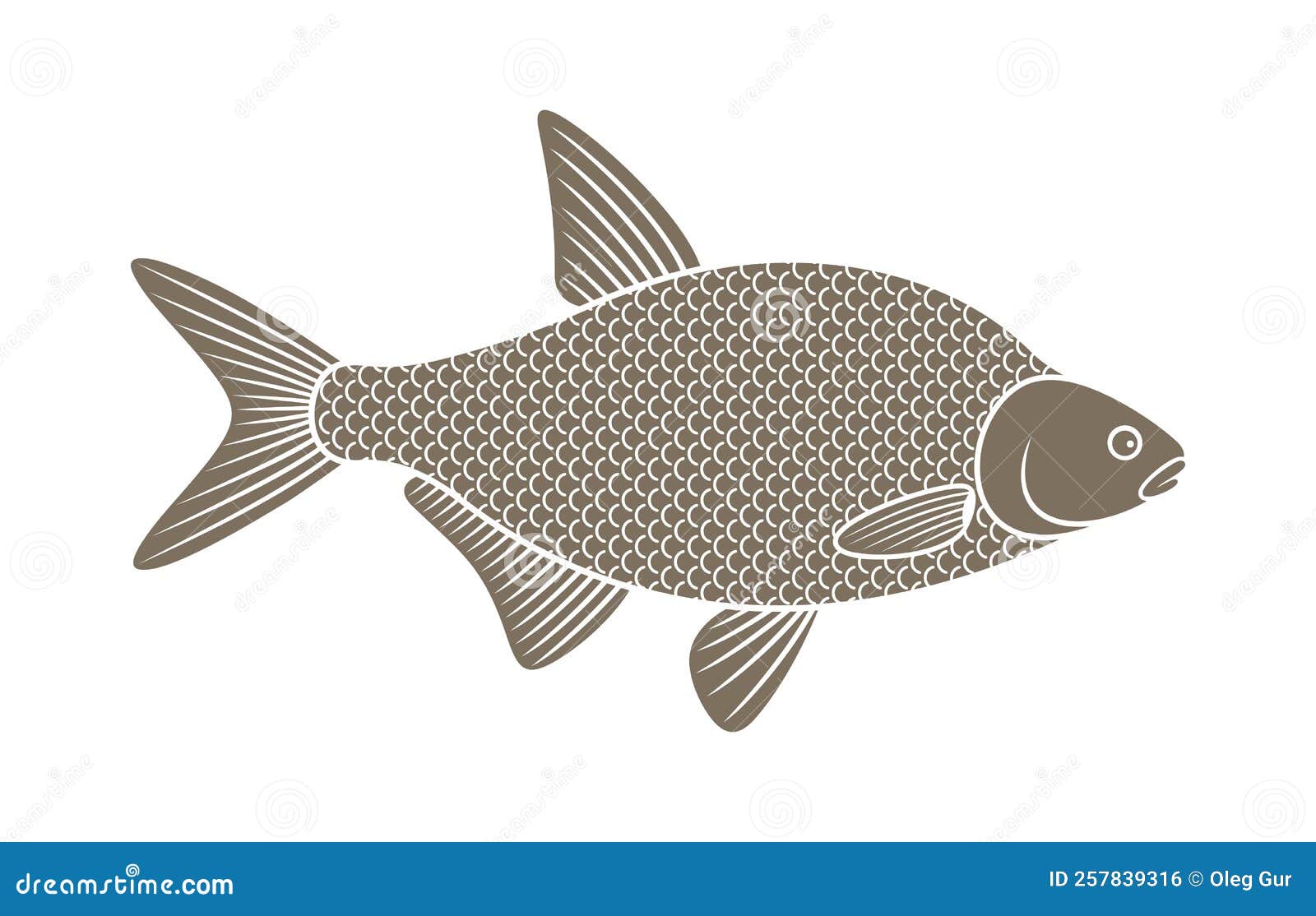 Bream Logo. Isolated Bream on White Background Stock Vector ...