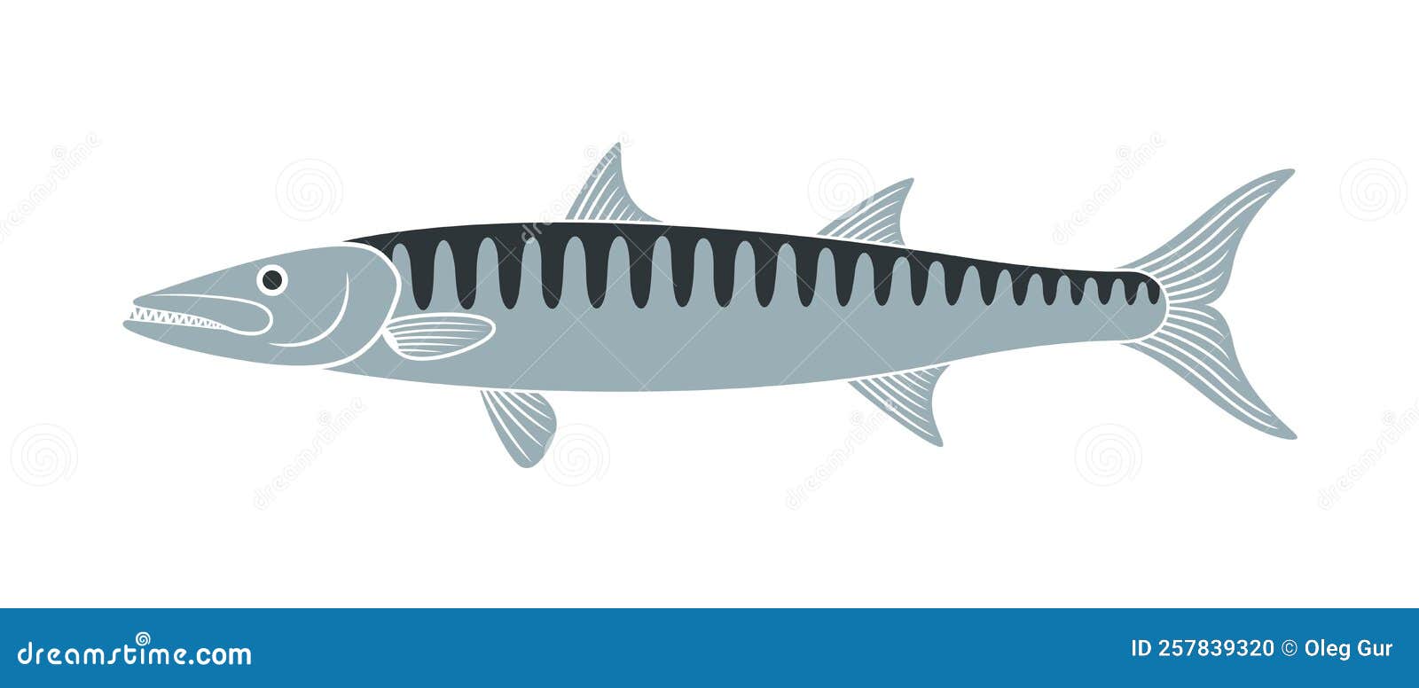 Barracuda Logo. Isolated Barracuda on White Background Stock Vector ...