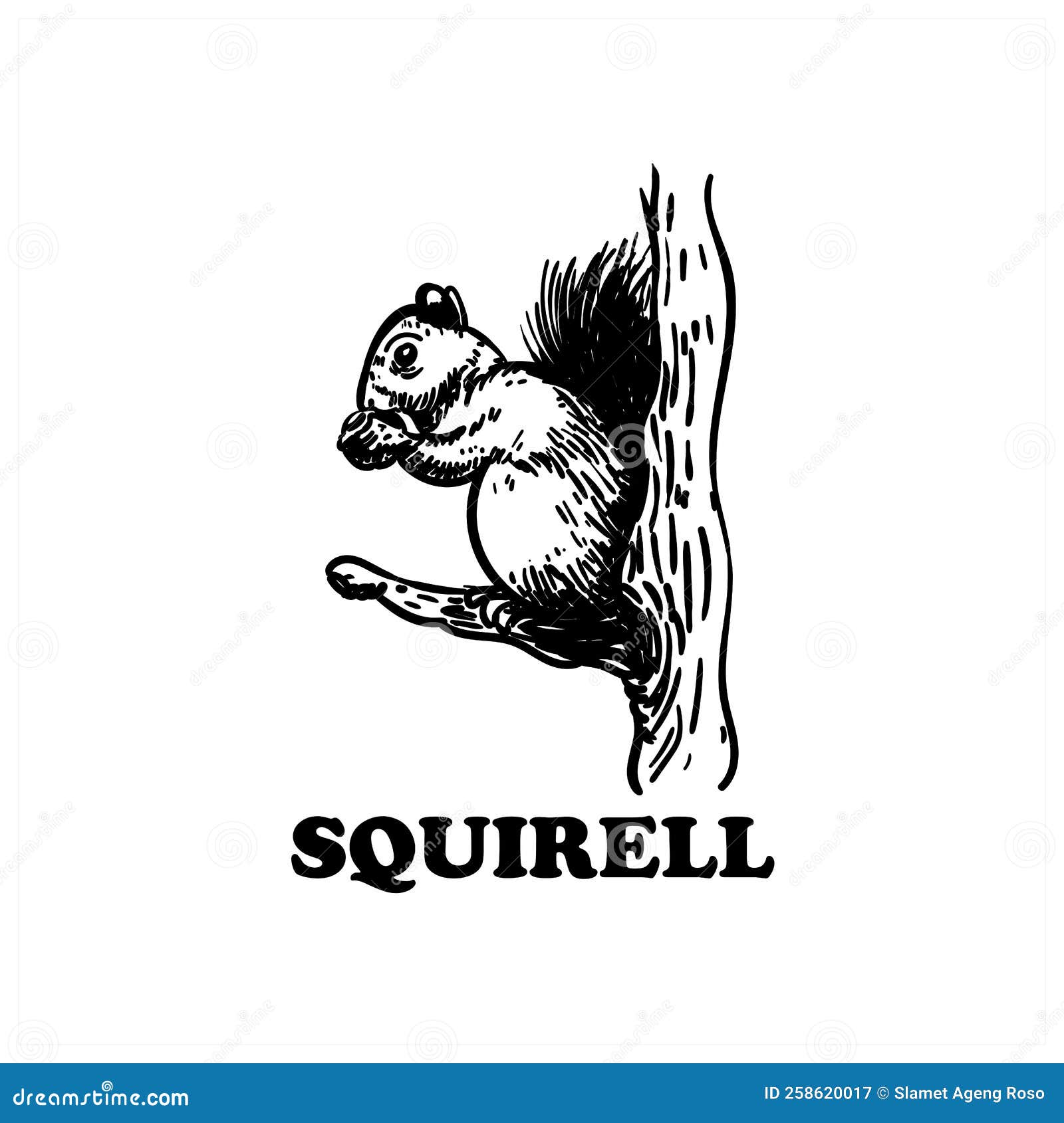 Squirrel Animal Hand Drawn Design Vector. Stock Vector - Illustration ...