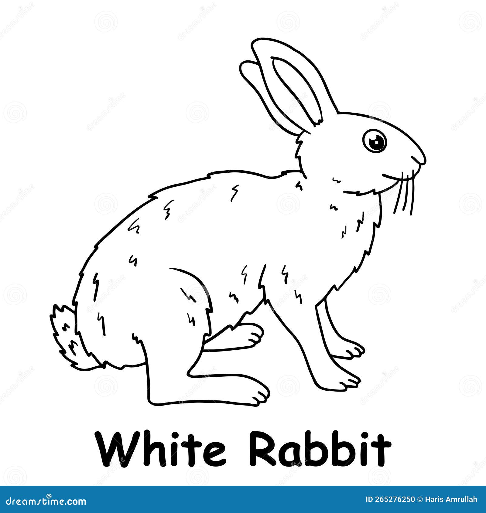 Kids Line Illustration Coloring White Rabbit. Outline Vector for ...