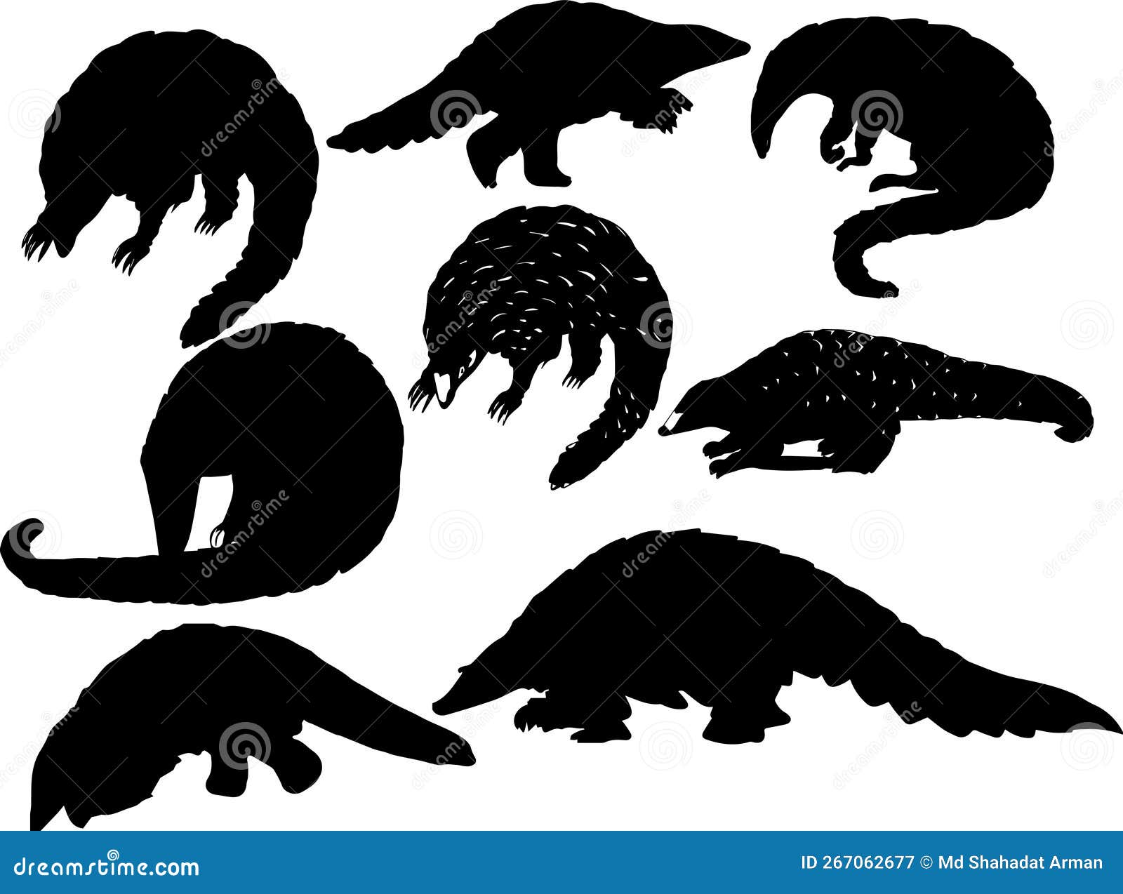 Bonrui Stock Illustrations – 2 Bonrui Stock Illustrations, Vectors ...