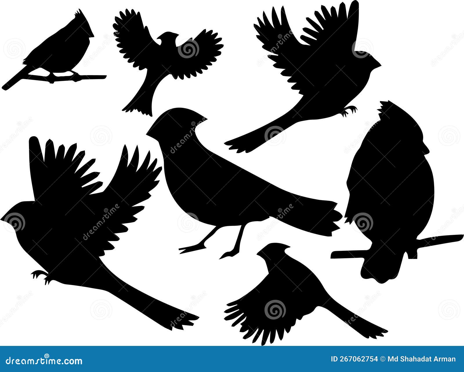Cardinal Bird Silhouette Set Stock Vector - Illustration of jump ...