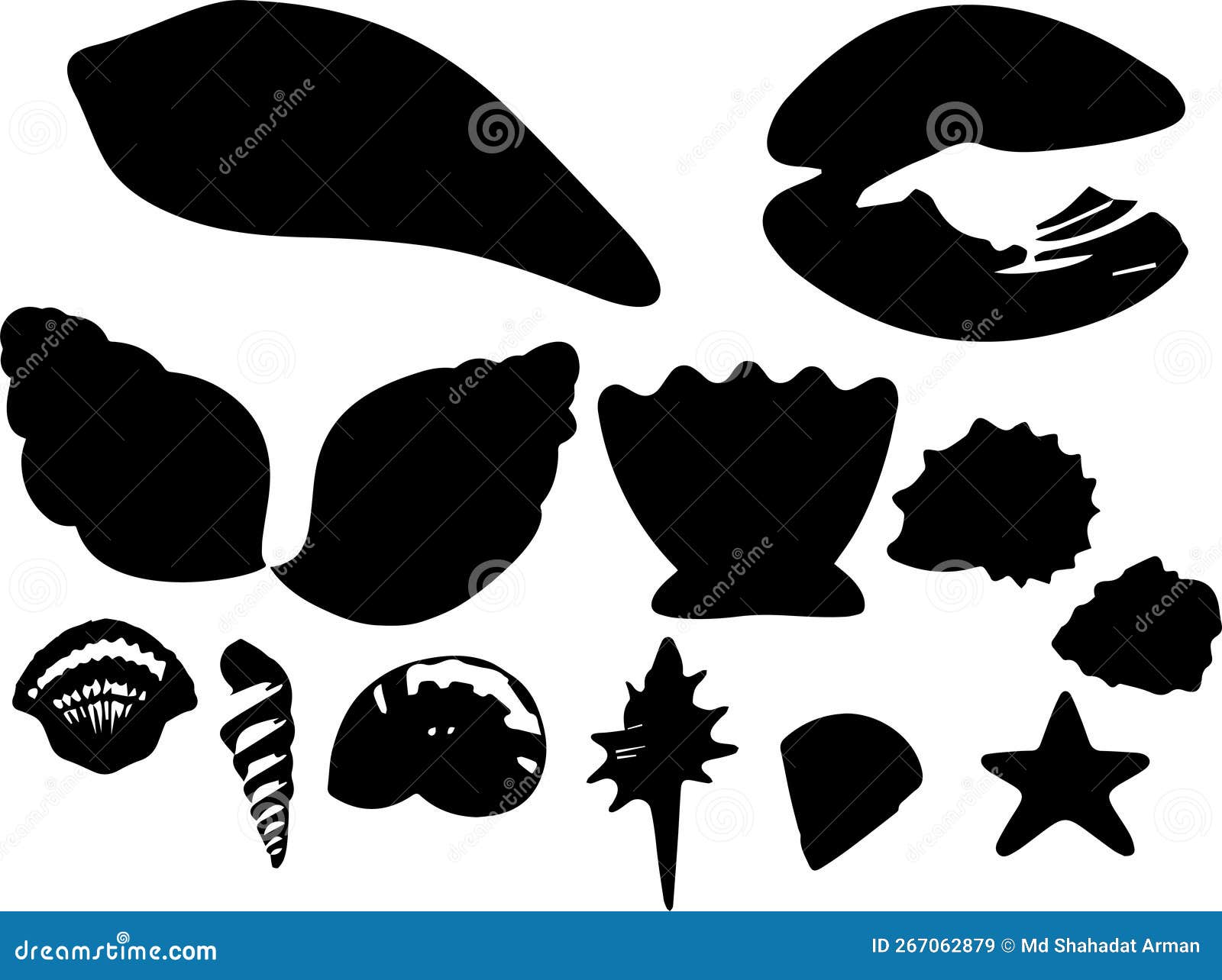 Seashell silhouette Set stock vector. Illustration of seashell - 267062879
