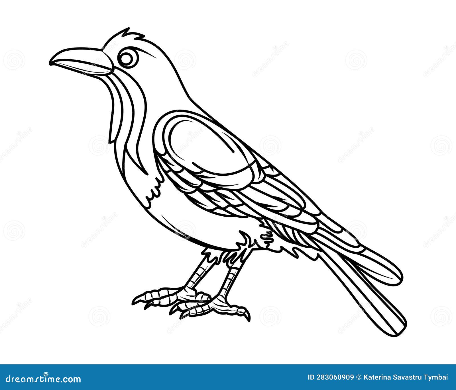Crow. Bird. Outline Drawing Stock Vector - Illustration of book, vector ...