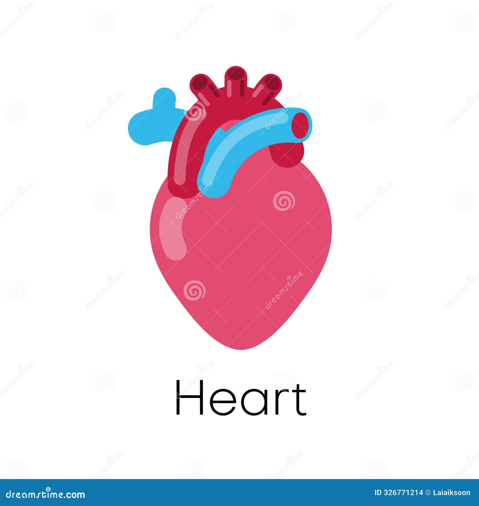 Human Heart Internal Organ with Artery and Aorta. Stock Vector ...