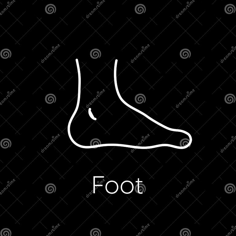Human Foot Line Icon Isolated on Black Background. Stock Vector ...