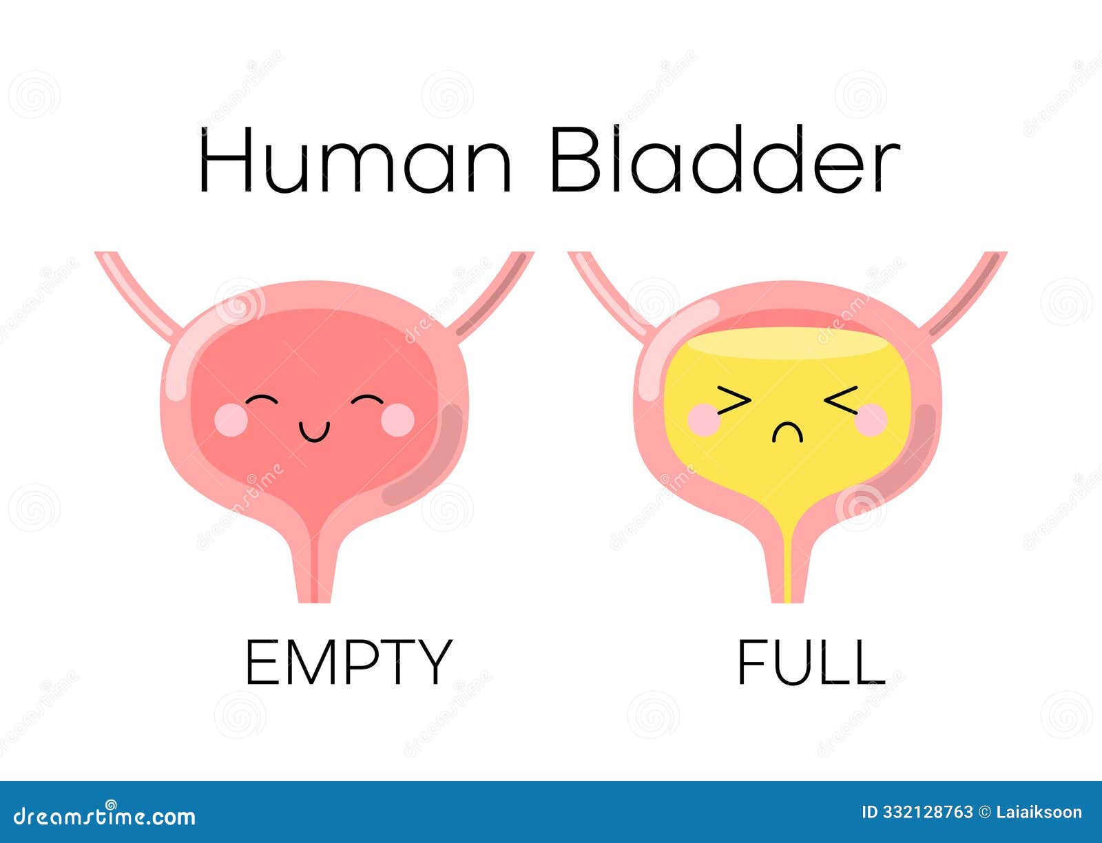 Cute Happy Empty Bladder and Sad Sick Full Bladder, Funny Human Bladder ...