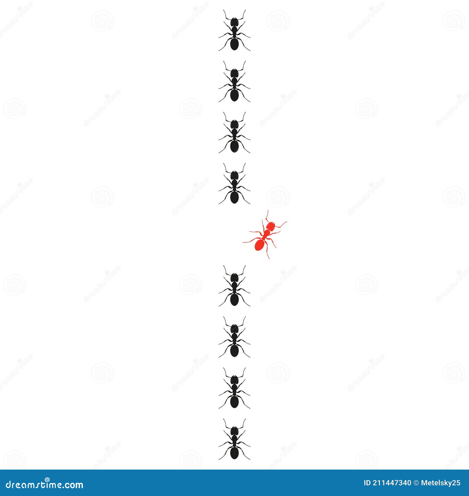 Ants Marching or Walking and One Changing Direction. Think Differently ...