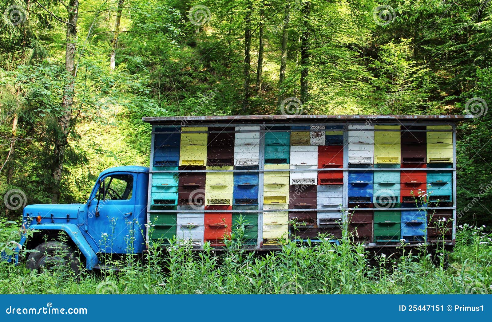 Mobile bees stock image. Image of ecology, mobility, countryside - 25447151