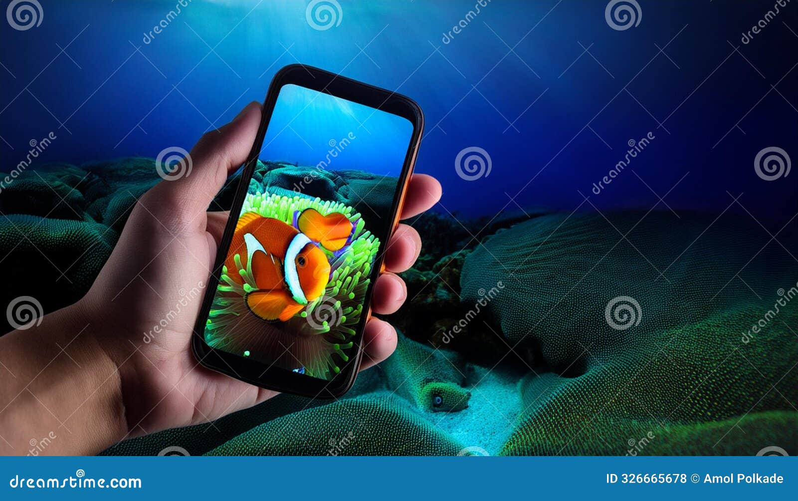 Mobile Capturing Image and Showing Information of Clownfish on the ...
