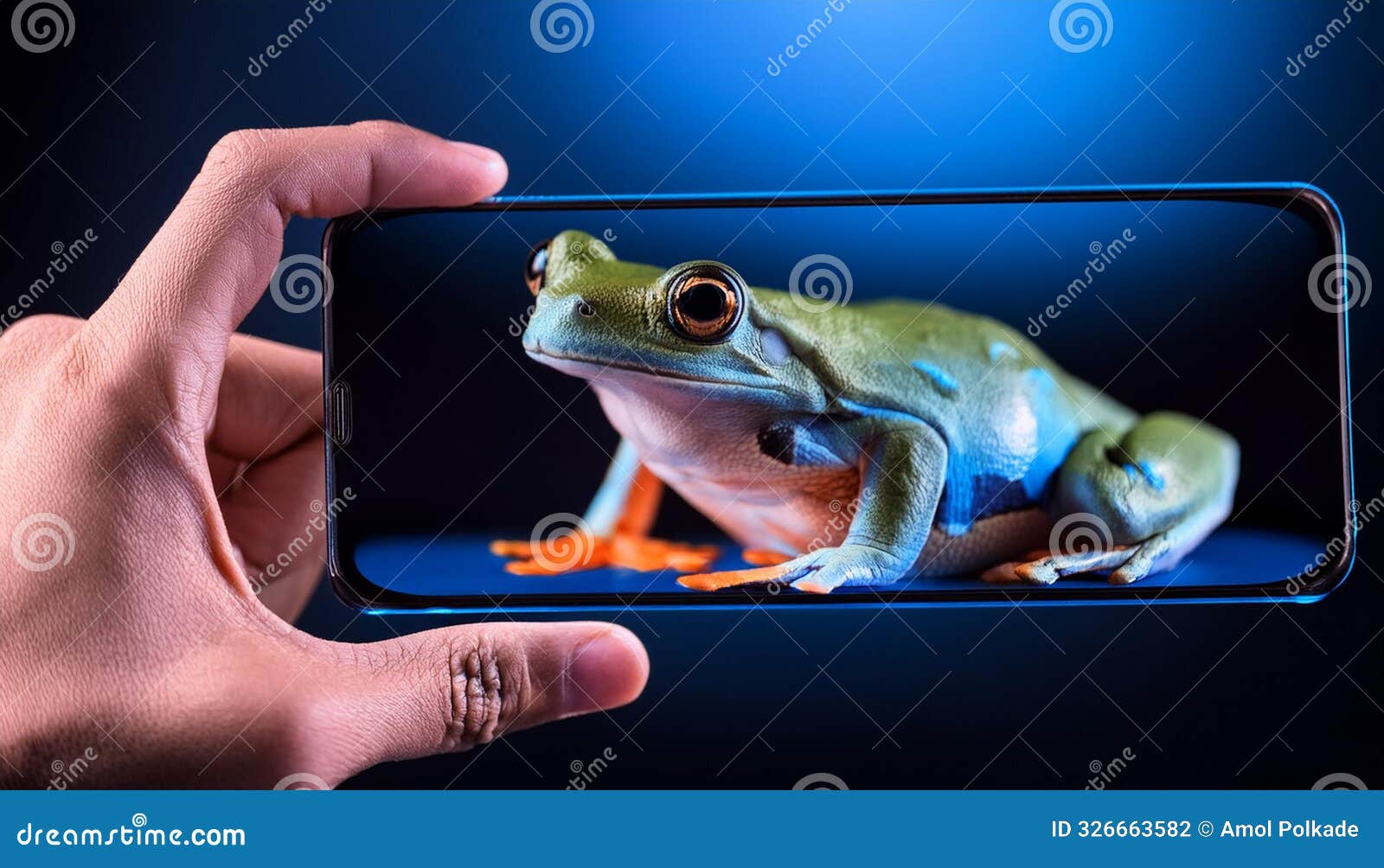 Mobile Capturing Image and Showing Information of Frog on the Display ...