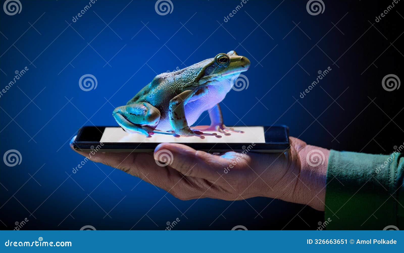 Mobile Capturing Image and Showing Information of Frog on the Display ...