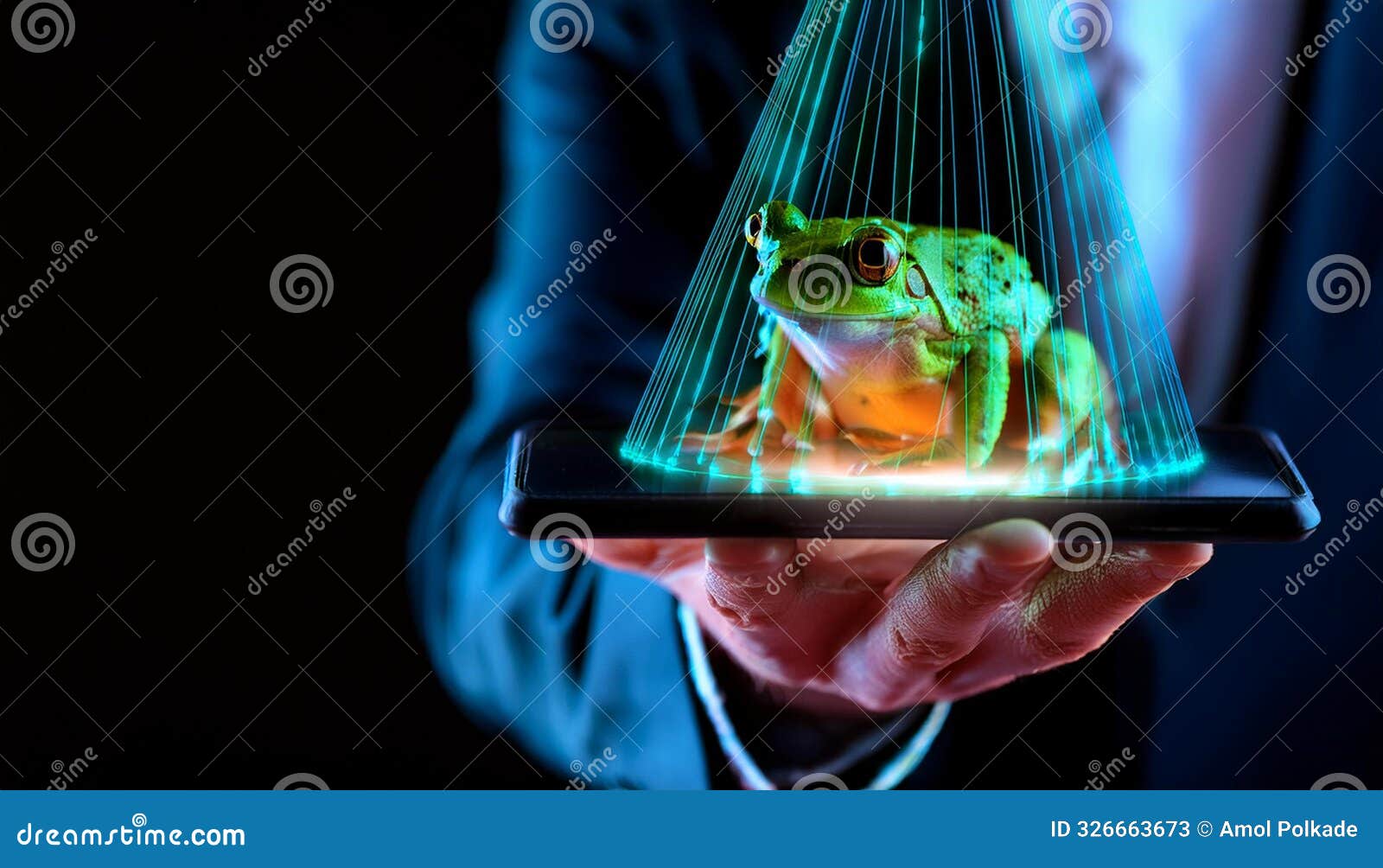 Mobile Capturing Image and Showing Information of Frog on the Display ...