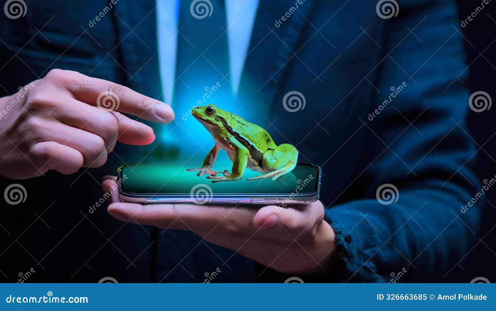 Mobile Capturing Image and Showing Information of Frog on the Display ...
