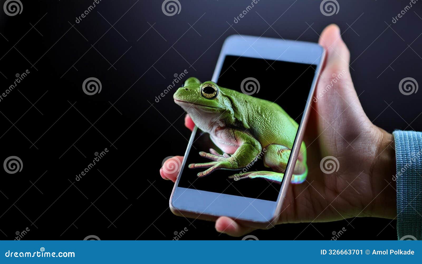 Mobile Capturing Image and Showing Information of Frog on the Display ...