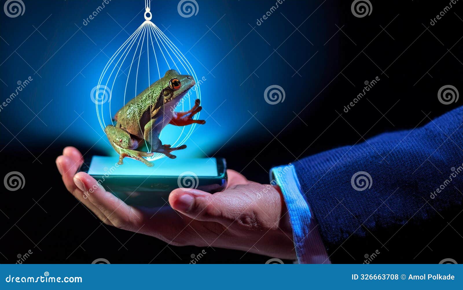 Mobile Capturing Image and Showing Information of Frog on the Display ...