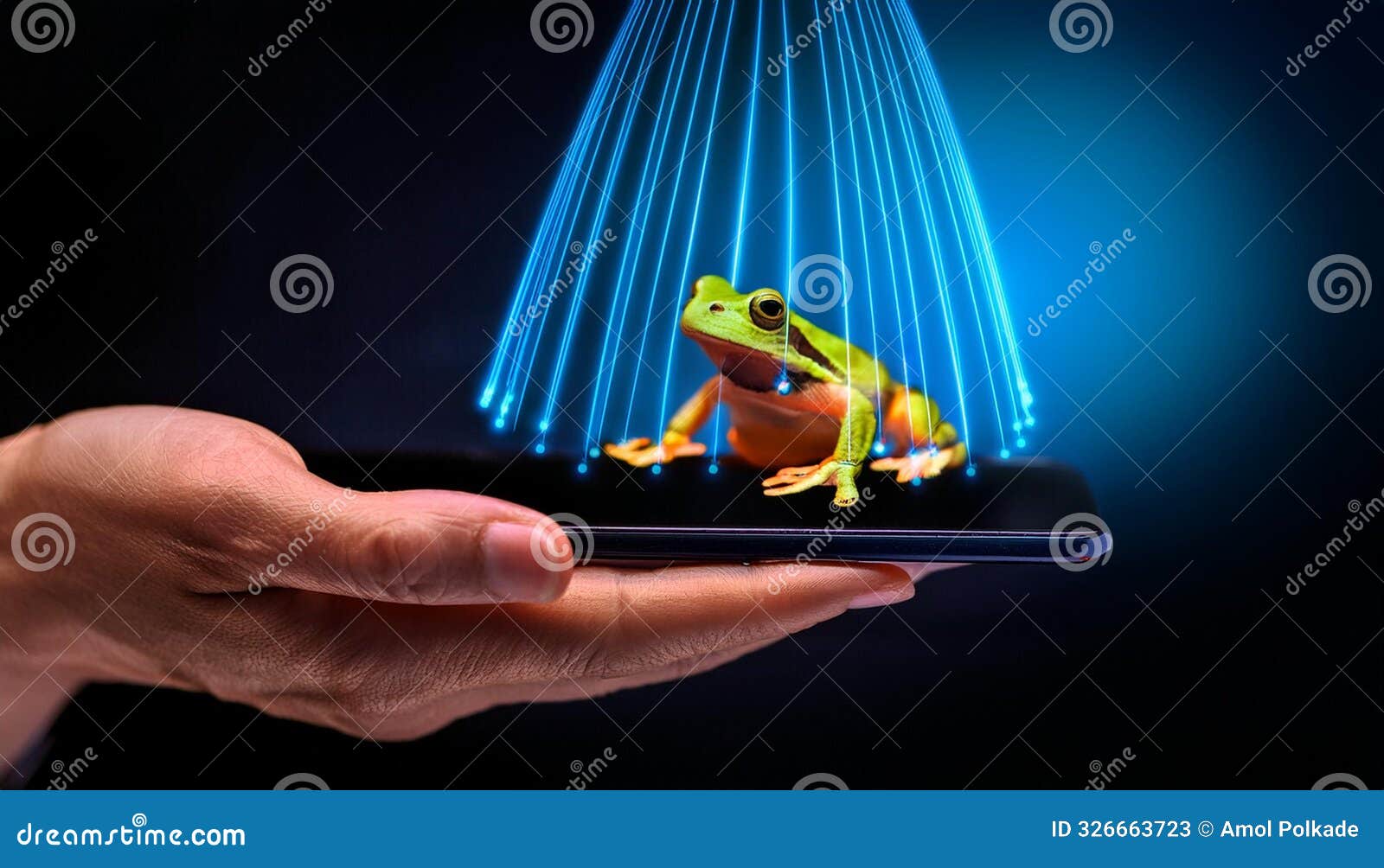 Mobile Capturing Image and Showing Information of Frog on the Display ...