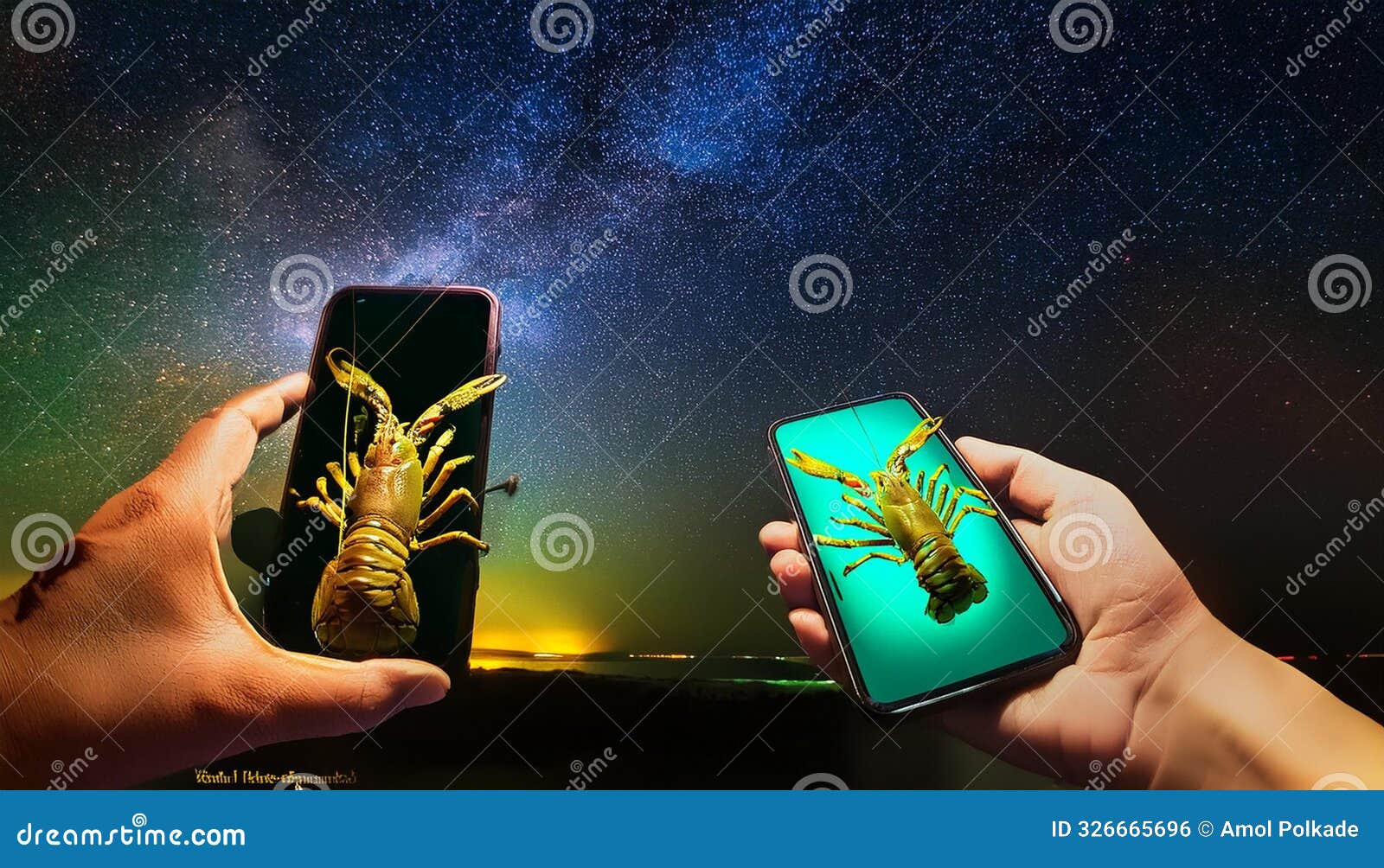 Mobile Capturing Image and Showing Information of Lobster on the ...
